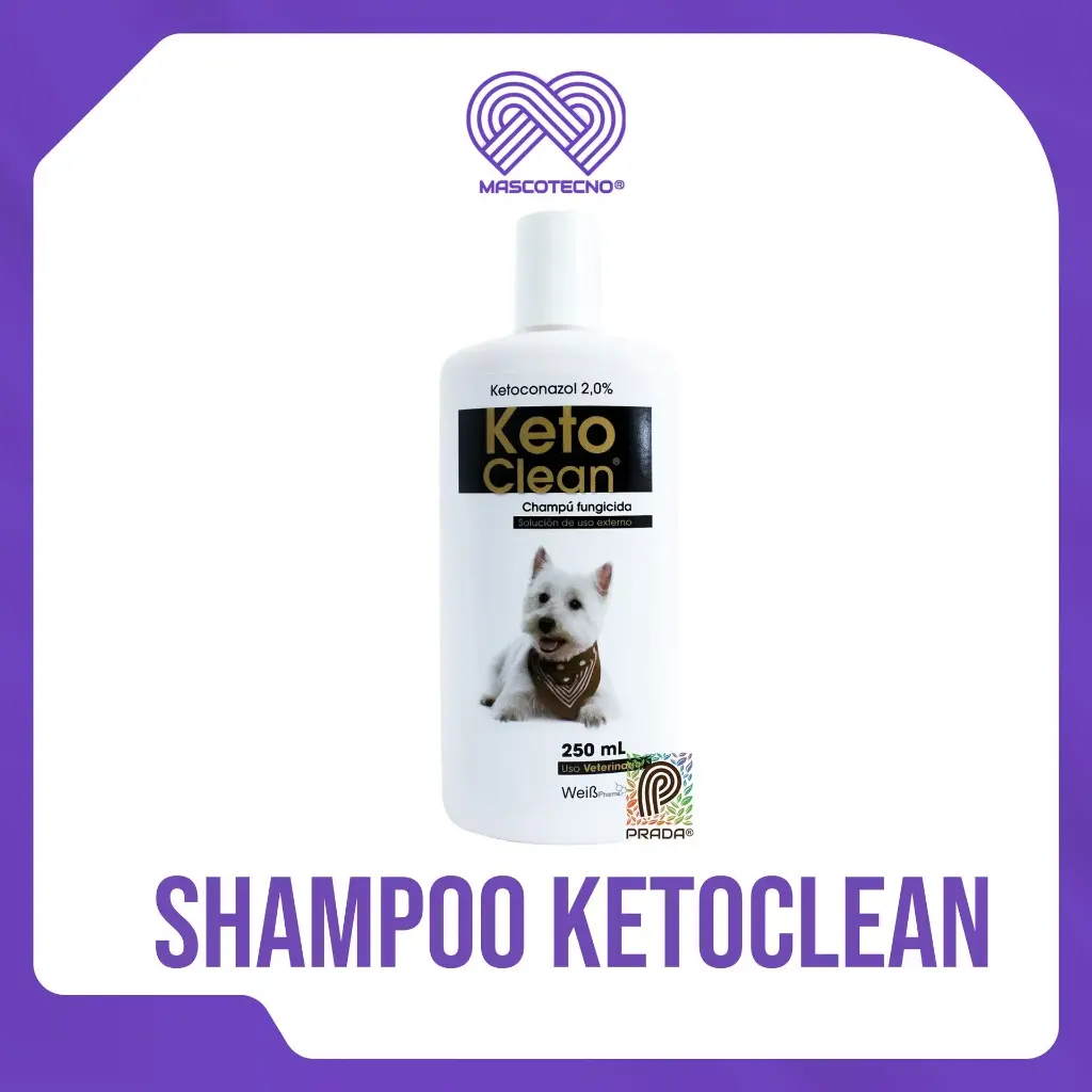 KETOCLEAN CHAMPU X 250 ML | PRADA SABINC